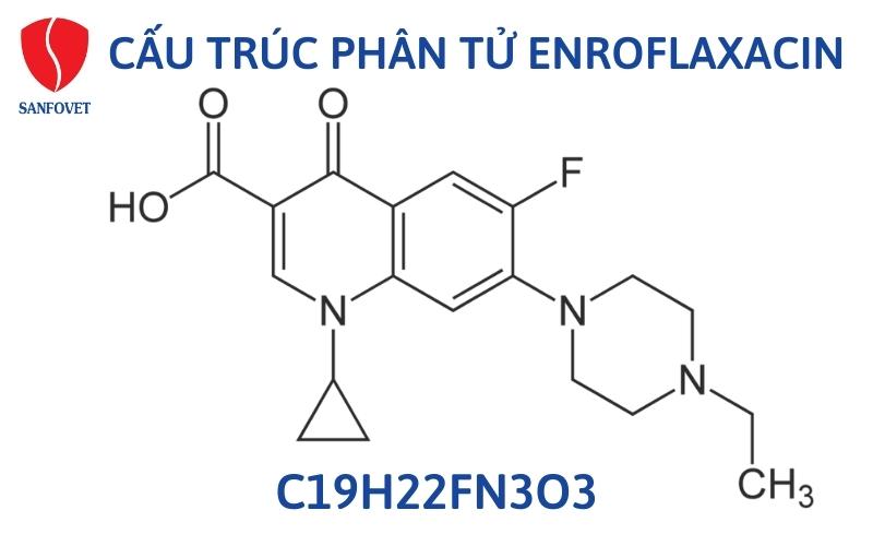 Sử dụng Enrofloxacin đúng cách trong thú y - THUỐC THÚ Y TRANG TRẠI ...
