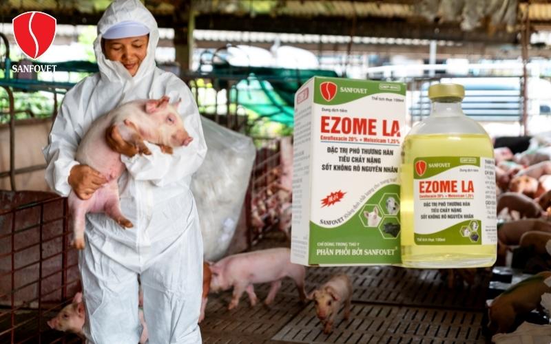 Sử dụng Enrofloxacin đúng cách trong thú y - THUỐC THÚ Y TRANG TRẠI ...