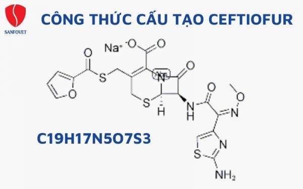 Bạn biết gì về Ceftiofur trong ngành thú y - THUỐC THÚ Y TRANG TRẠI ...